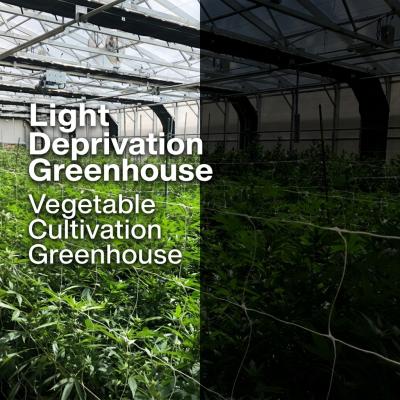 China External Shading System vegetable Light Deprivation Greenhouse for Plants Cultivation for sale