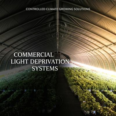 China Automatic Ventilation Light Deprivation Greenhouse With UV Resistant Polyethylene Film for sale