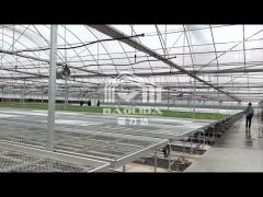 Ebb And Flow Rolling Bench Seedbed Greenhouse With Grow Tables