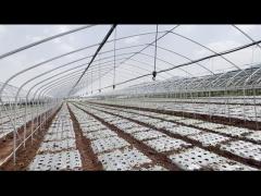 Sistema de irrigação por gotejamento e sistema de irrigação por aspersão de PVC de grau alimentício