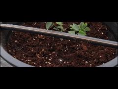 Multi-span Greenhouse with full agriculture planting equipment