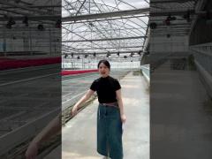 Nursery Seedbed 4x8 Flood Trays Tables Movable Rolling Bench Greenhouse Table System Cultivation
