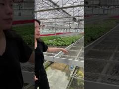 Plant Growing Greenhouse Accessories 4'×8'  4'×10' Ebb And Flow Rolling Bench