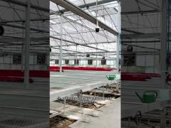 400mm 500mm 16inch 20inch Greenhouse Cooling System Air Circulation Fan