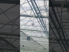 400mm 500mm 16inch 20inch Greenhouse Cooling System Air Circulation Fan
