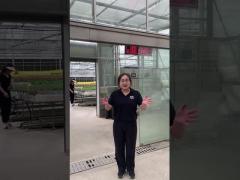 large Greenhouse