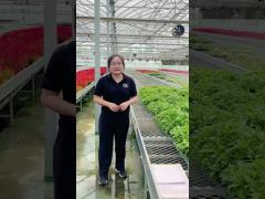 ABS Plastic Greenhouse Accessories Greenhouse Rolling Bench PEP Film Covering