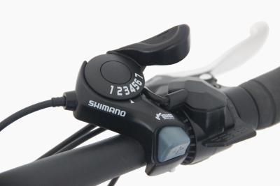 Cina tasca elettrica 36v 350w Ebike della bici di aiuto 36v in vendita