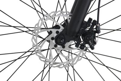 Cina tasca elettrica 36v 350w Ebike della bici di aiuto 36v in vendita