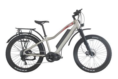 China E Fiets 26 Duim48v 1000w Elektrische Fiets de Elektrische Fiets Sterk Off Road van het 26 Duimwiel Te koop