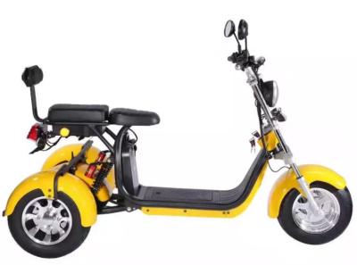 中国 EEC シティココの三輪車3の車輪の電気スクーター2000w 1000w 1500w 販売のため