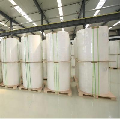 Cina Biodegradabile a doppio foglio della pietra di Rich Mineral Board Paper Of in vendita