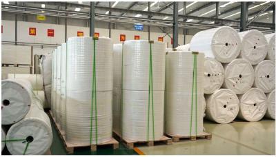 Cina 50um-400um Thickness Stone Paper Roll 4000 METERS Length No More Than 1200mm in vendita