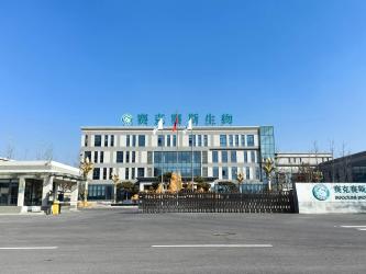 China Factory - Shandong Saikesaisi Hydrogen Energy Co., Ltd