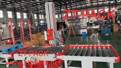 中国 サーボ カートンのパッキング機械 販売のため