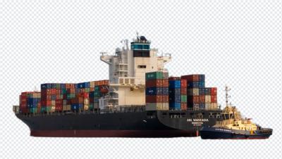 China Professional Ocean Freight Forwarder with LCL Consolidation, Door-to-Door Delivery, and Real-Time Tracking for sale