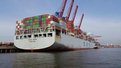 China Reliable Dangerous Goods Handling Freight Forwarder with LCL Consolidation and Real-time Tracking for sale
