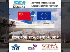 Professional LCL Team China to Global Sea Freight DDP Service