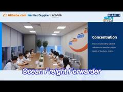professional ocean freight forwarder with door-to-door service, real-time tracking, and ddp solution