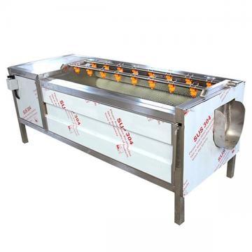 China Vegetable Brush Washer Machine fruit processing equipment fruit and vegetable packing machine for sale