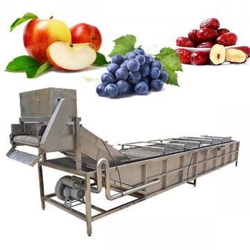 China Industrial Fruit and Vegetable Washing Machine vegetable processing line fruit powder processing machine for sale