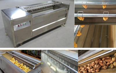 China Working Principle Of Fruit And Vegetable Brush Washing Machine Manufacturing Process for sale