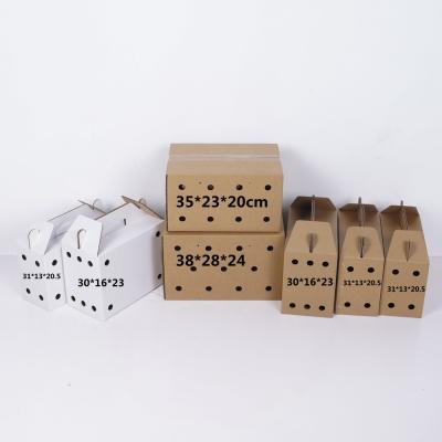 China Caixas de transporte de animais vivos extra resistentes Casas de transporte de pombos pesados Casas de transporte de animais de estimação de tamanho múltiplo Caixas de transporte para aves de corrida Pequenos animais à venda