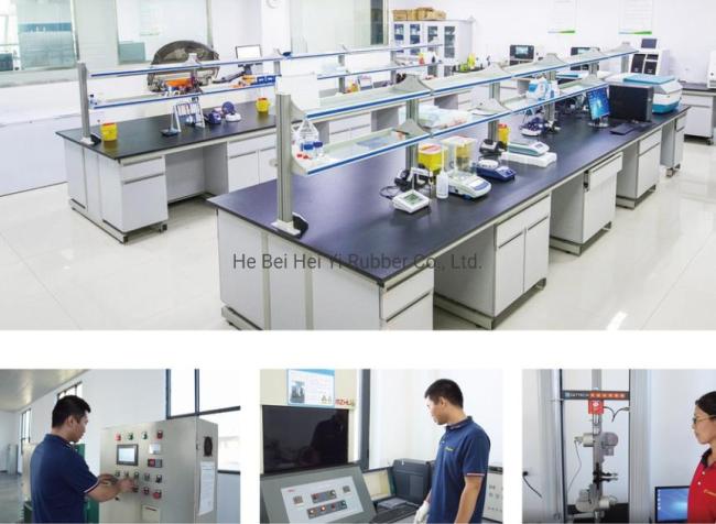 Automotive Parts Farm Machine Parts V Belt