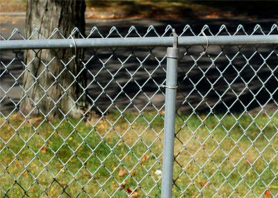 China Dipped Galvanized Chain Link Fence With 35-300G per Square Meter Zinc Coating; PVC Coated Chain Link Fence for sale