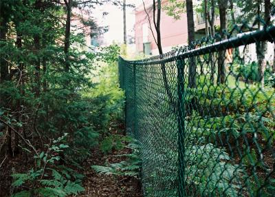 China High Security PVC Coated Galvanized Chain Link Fence for sale