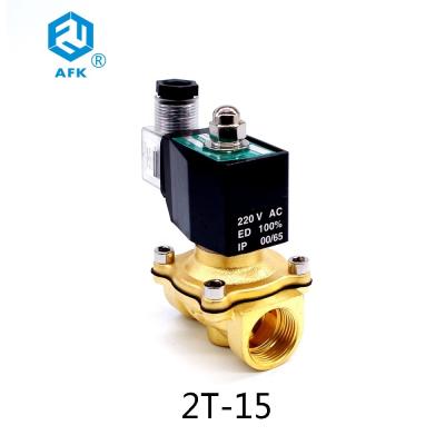 Cina Pollice elettrico d'ottone 220V dell'elettrovalvola a solenoide del gas naturale 1/2 in vendita