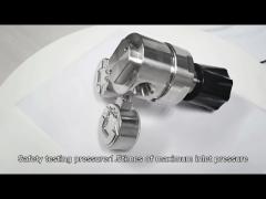 Stainless Steel Pressure Regulator