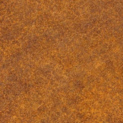 Cina Bobina d'acciaio laminata a caldo pre arrugginita all'aperto dello SGS di Corten della Camera in vendita