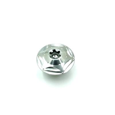 China M5 de Anodiserende Hexagon Noten van het Aanpassingstitanium Gr2/Gr5 Te koop