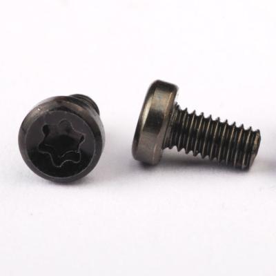 Cina Customized Metric M1 M2 M2.5 M3 M4 M5 M6 M8 Black Anodic Oxidation Cap Head Socket Machine Torx Titanium Bolt Screws in vendita
