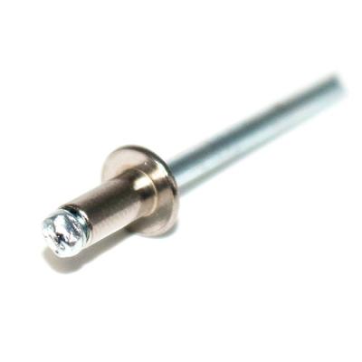 Cina M2 M4 M6 M8 Domed Head Aluminium Blind Pop Rivets in vendita