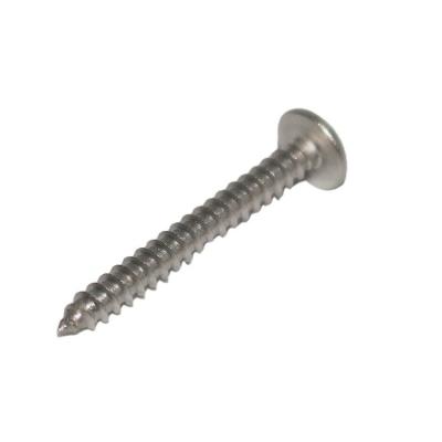 Cina GB845 Pan Head Screws Tapping Screws in vendita