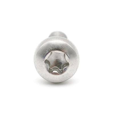 中国 Small Six Lobes Hex Socket Stainless Steel Pan Head Torx Screw 販売のため