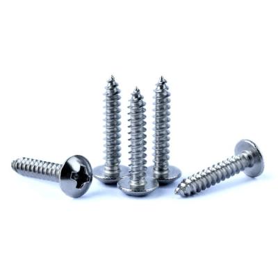 中国 M2 M3 M4 Galvanizado亜鉛ゆとりの乾式壁の叩くねじ 販売のため