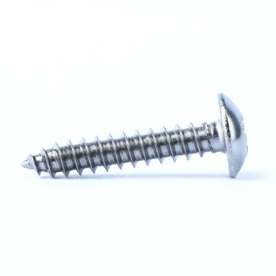 中国 M2 M3 M4 Galvanizado亜鉛ゆとりの乾式壁の叩くねじ 販売のため