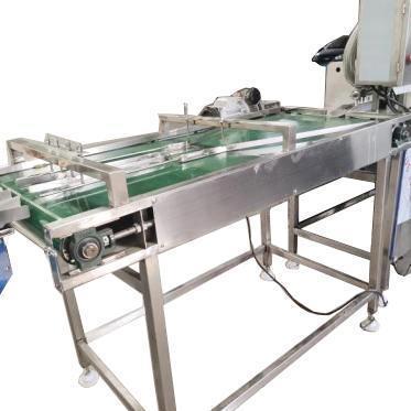 Industry Whole Egg Liquid Production Line Full Automatic Egg Cleaning Machine Breaking Machine Egg Liquid Filter