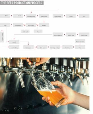 Cina Macchine per la produzione di birra da 100L 300L 500L 1000L in vendita