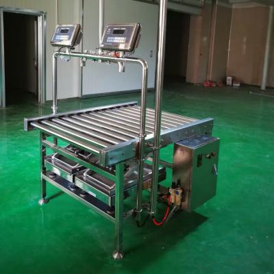Cina Macchine per la produzione di formaggio Hnoc in vendita