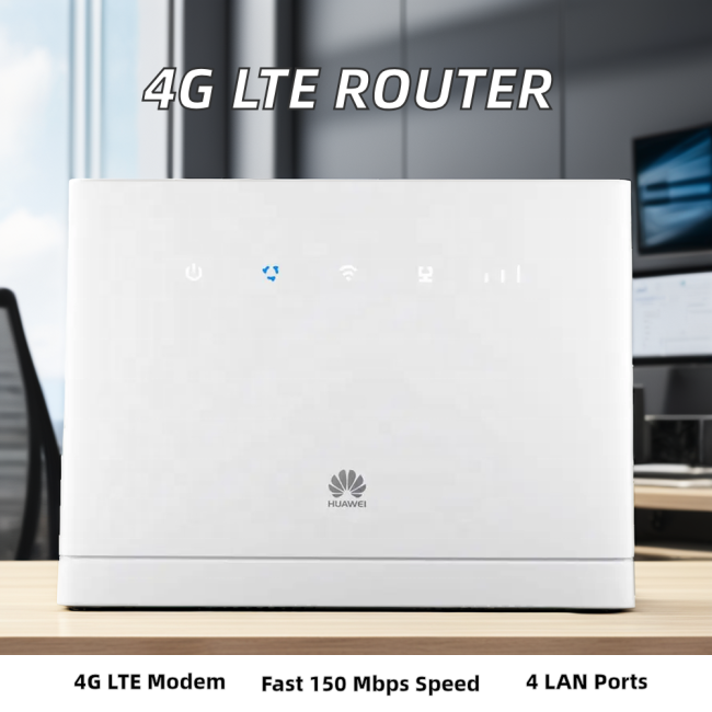 B315s-519 router connectivity options