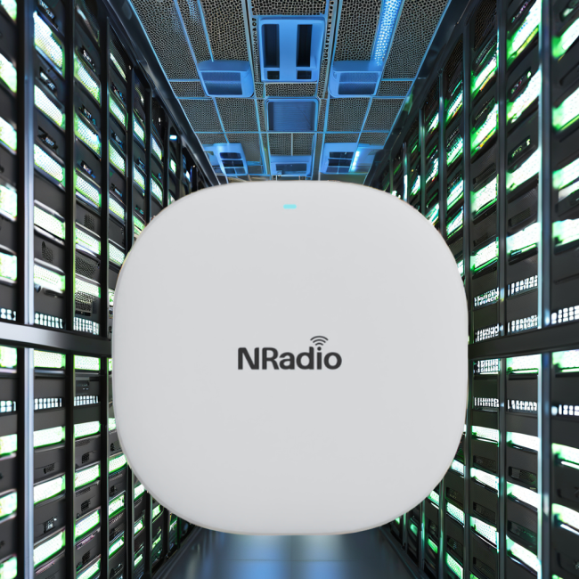 Access Point connectivity options