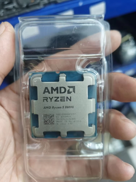 AMD R5 8600G Processor technical diagram