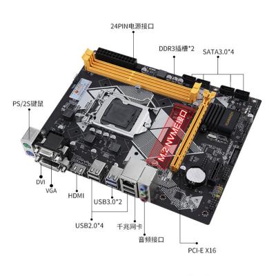 Cina Combo di scheda madre per PC B85 per computer desktop DDR3 RAM B85 scheda madre LGA-1150 in vendita