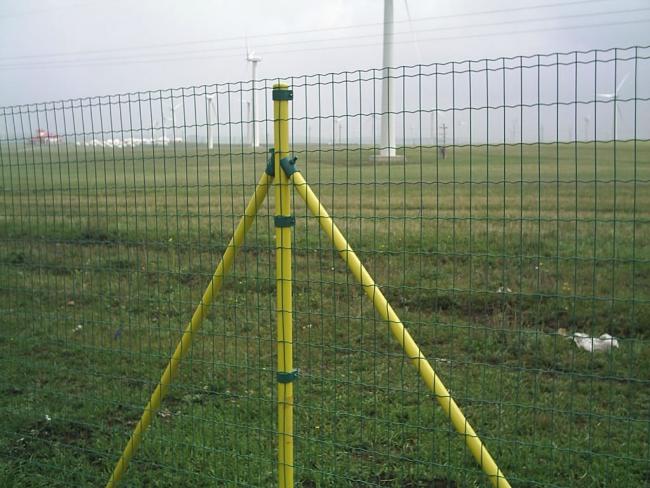 2''x2'' Green PVC coated Euro Fence Welded wire mesh rolls for garden