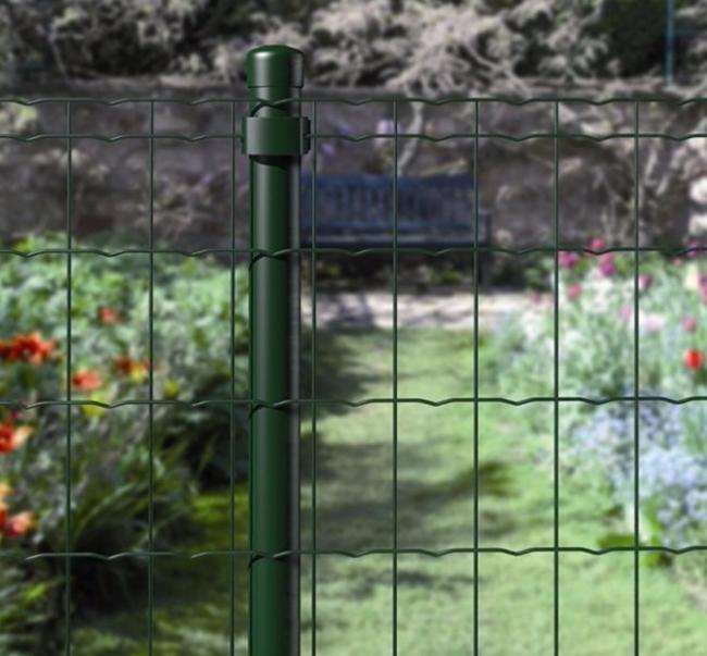 2''x2'' Green PVC coated Euro Fence Welded wire mesh rolls for garden