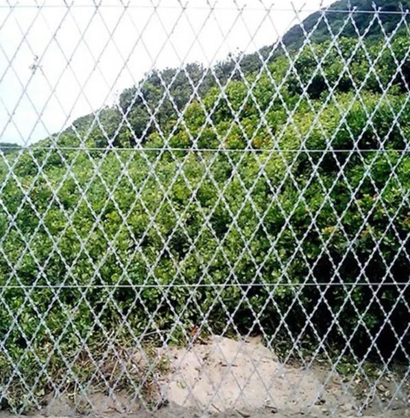 Chinese Supplier High Quality Galvanized Welded Wire Mesh Panels